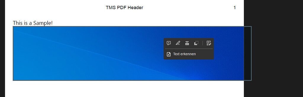 TMSFNCRichEditorPDFIO cropping images - TMS FNC UI Pack - TMS Support Center