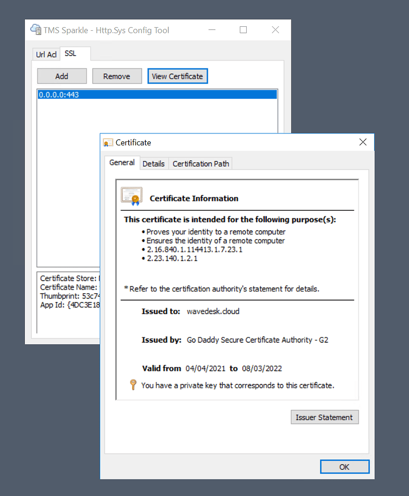 Binding to http.sys over SSL with certificate on Windows server - Non ...